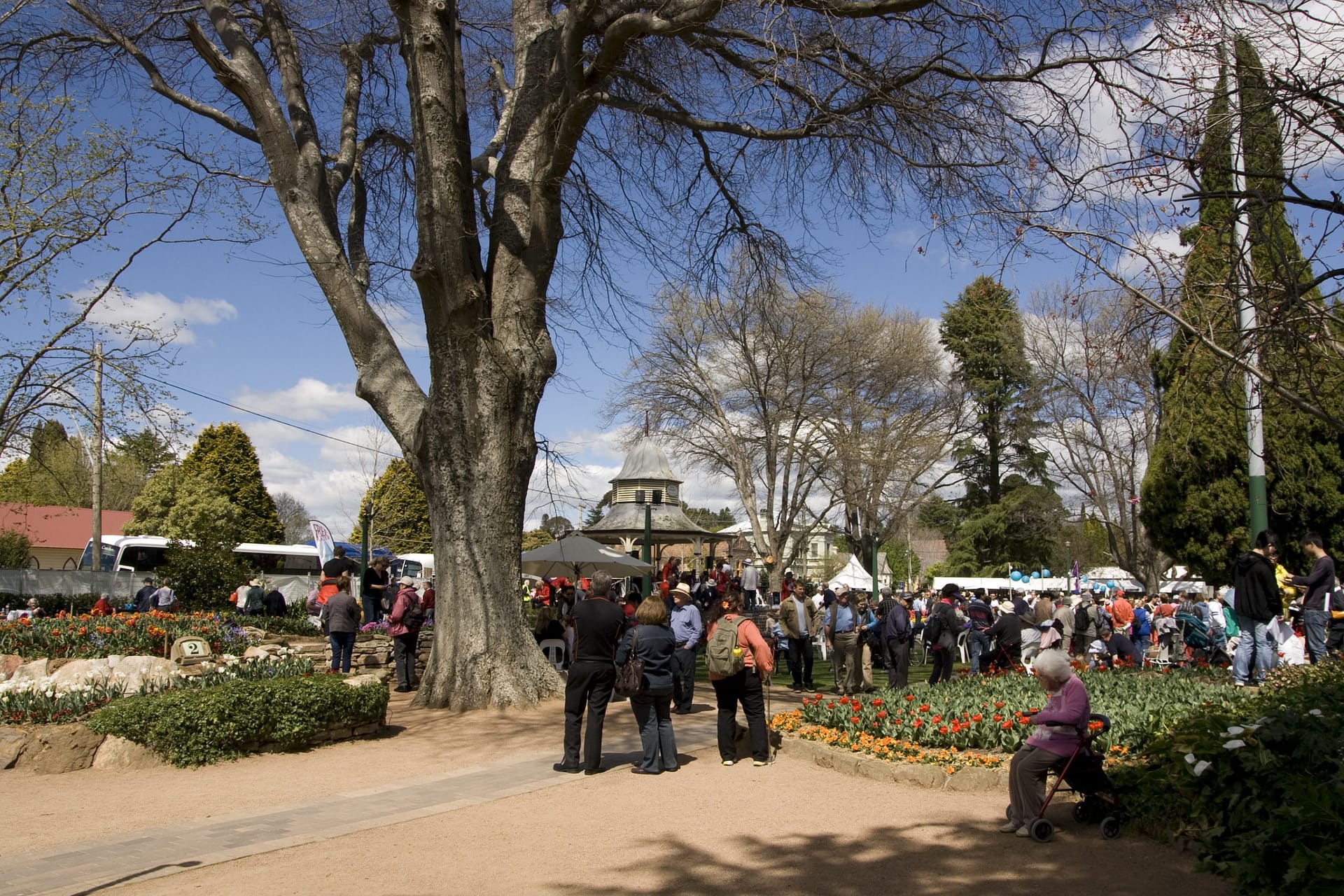 Bowral Markets | Sequoia Valley Farms
